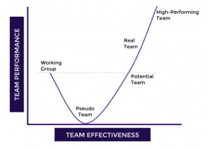 Developing Leaders : A High-Performing Team Development Case Study ...